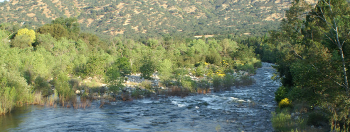 Services – Three Rivers Village