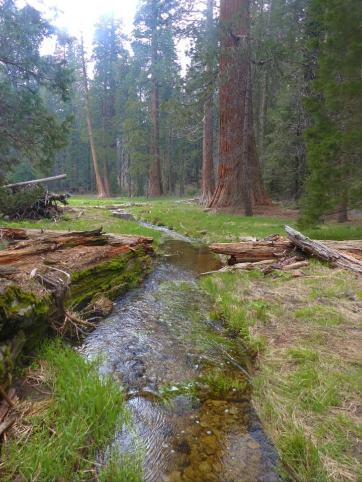 Nature – Three Rivers Village